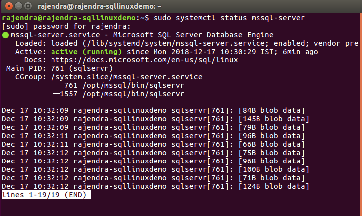 Benzina Particella Crescere How To Import Dump File In Sql Server 